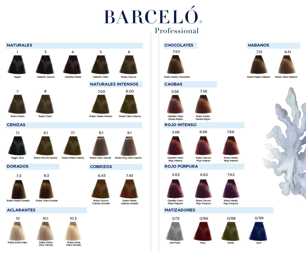 Tinte Barceló Tonos Naturales | Cromantic